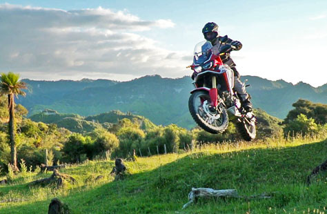 ATV's, Motobikes and Scooters | Honda Motorcycles NZ